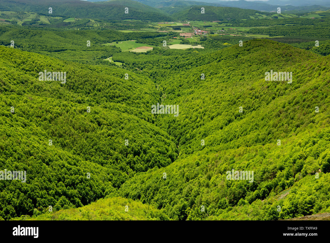 Navarrese road hi-res stock photography and images - Alamy