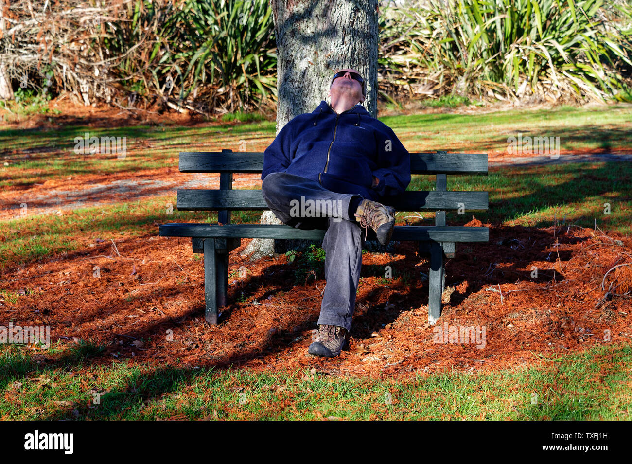 Head tilted back hi-res stock photography and images - Alamy