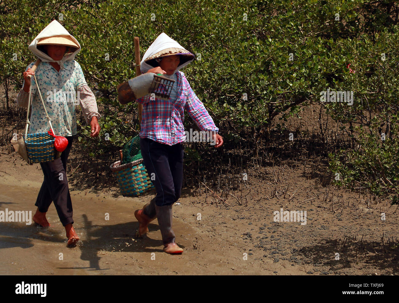 Beihai guangxi hi-res stock photography and images - Alamy