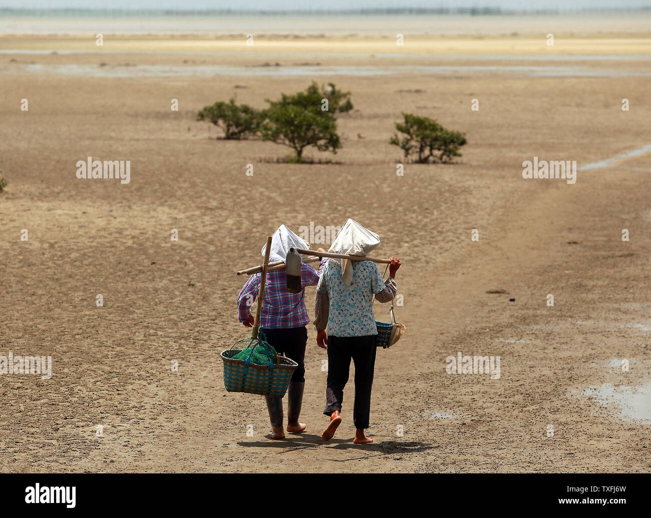 Guangxi beihai mangrove hi-res stock photography and images - Alamy