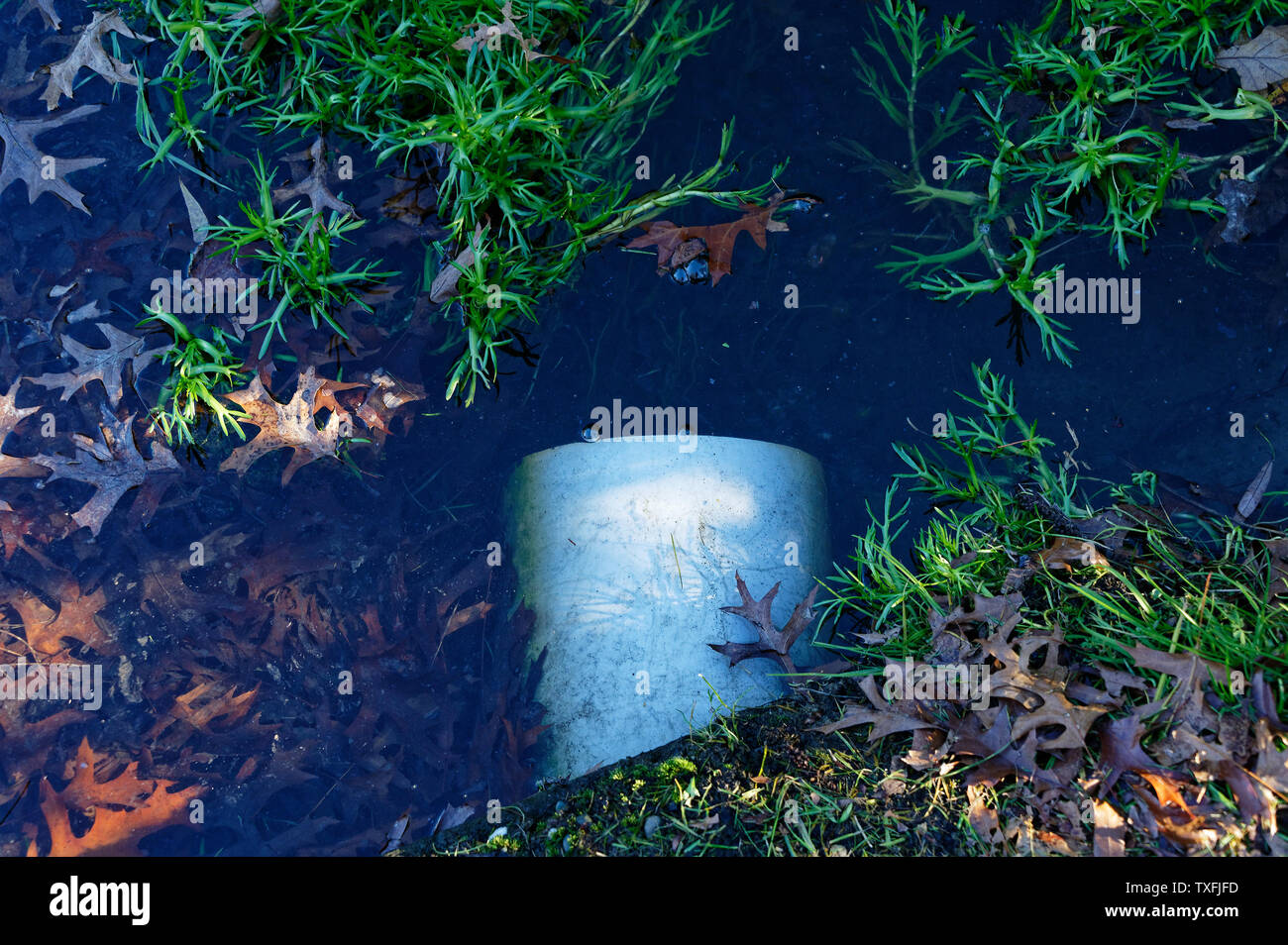 Overflowing drain hi-res stock photography and images - Alamy