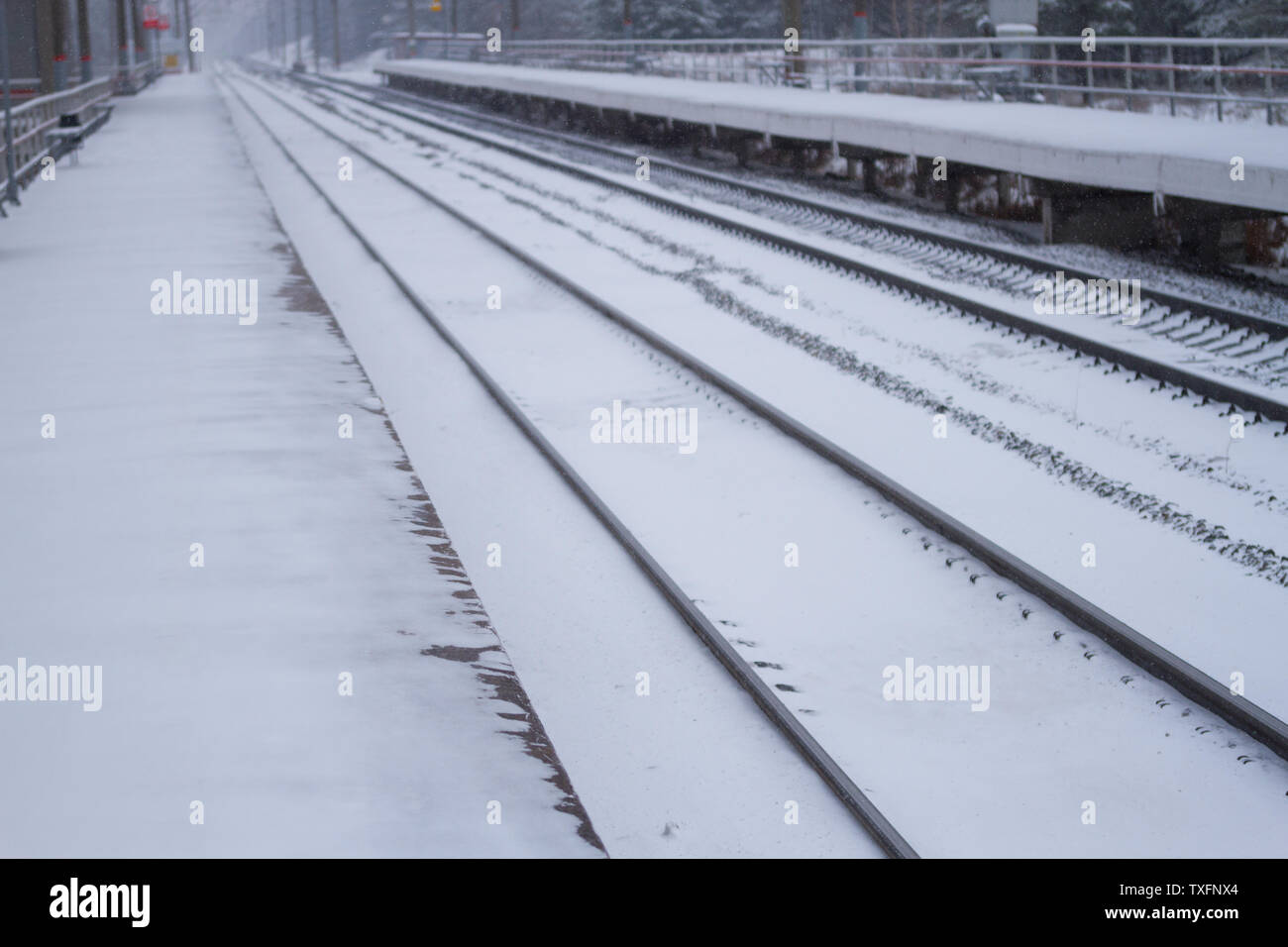 Frost rails perspective hi-res stock photography and images - Alamy