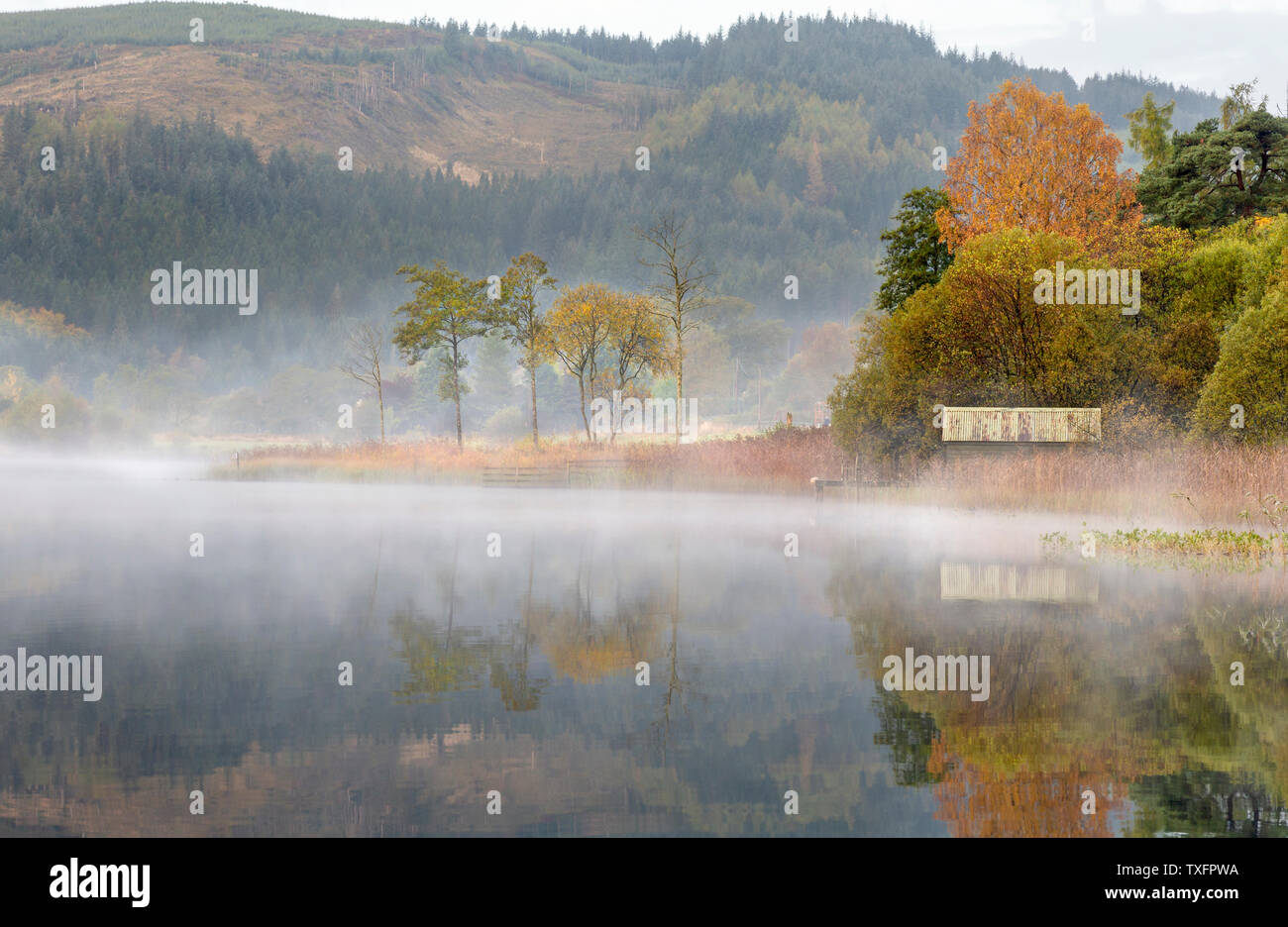 Early morning mist over Loch Ard, Stirling Stock Photo - Alamy