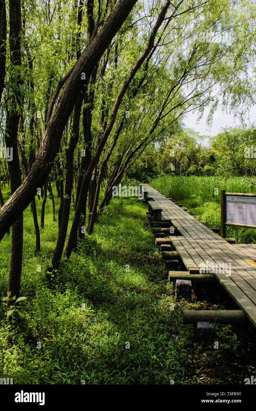 Scenery of Xixi Wetland Park in Hangzhou Stock Photo - Alamy