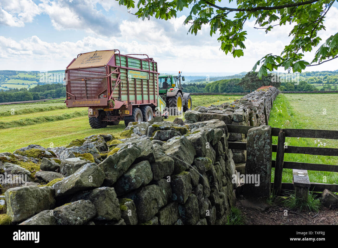 Forage harvesting in the lower Wye Valley Stock Photo - Alamy