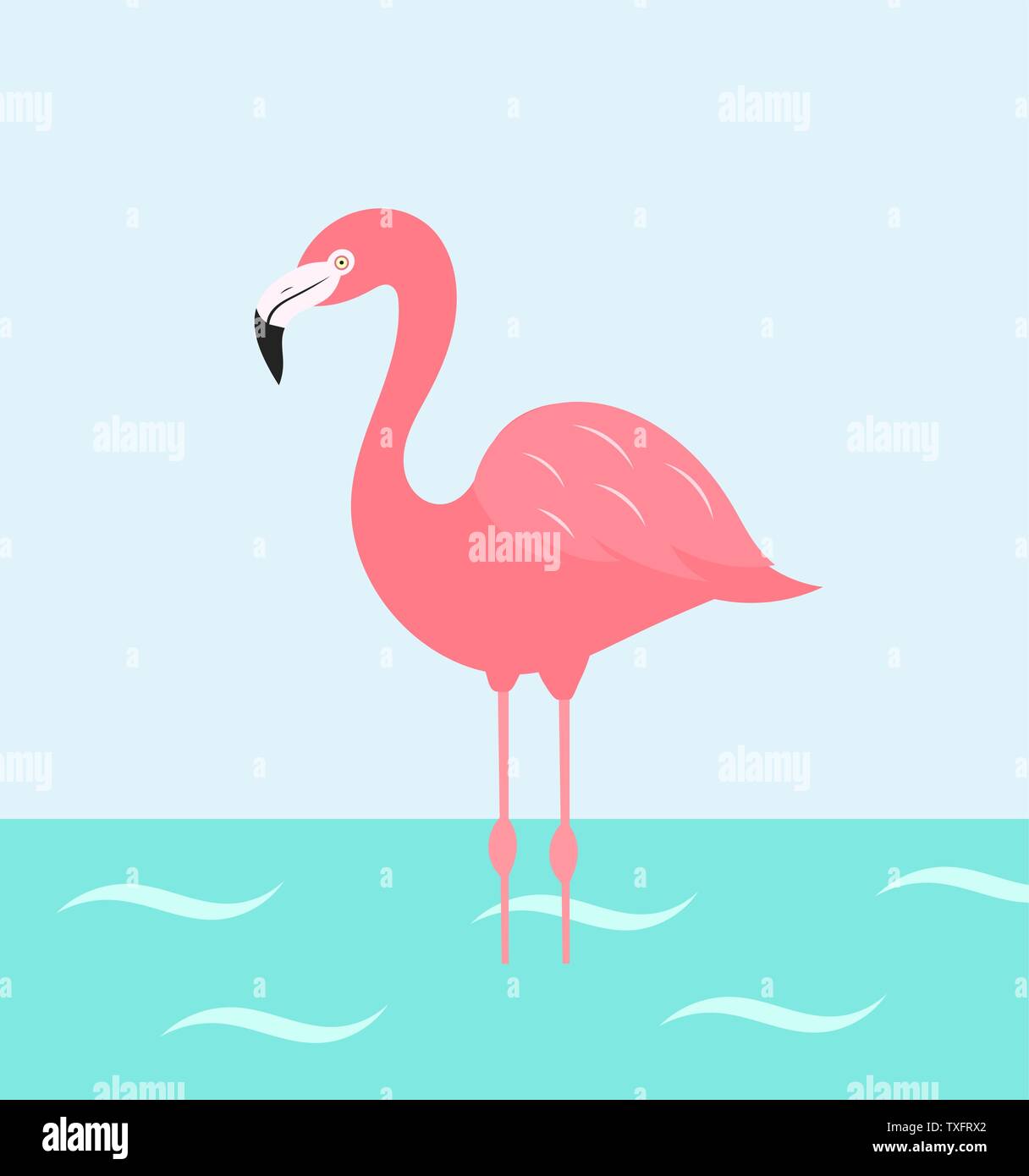 Shallow Water Cartoon