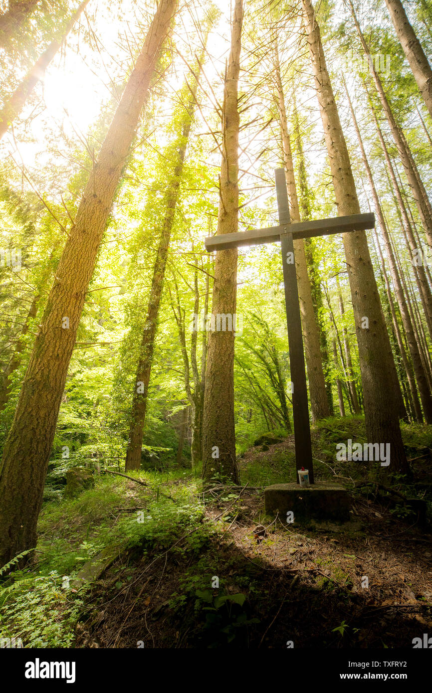 A christian holy cross located in a majestic forest with golden ...