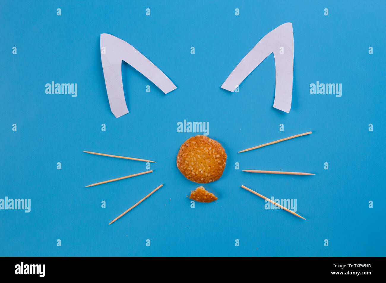 cute cat face with cookie. blue background Stock Photo - Alamy