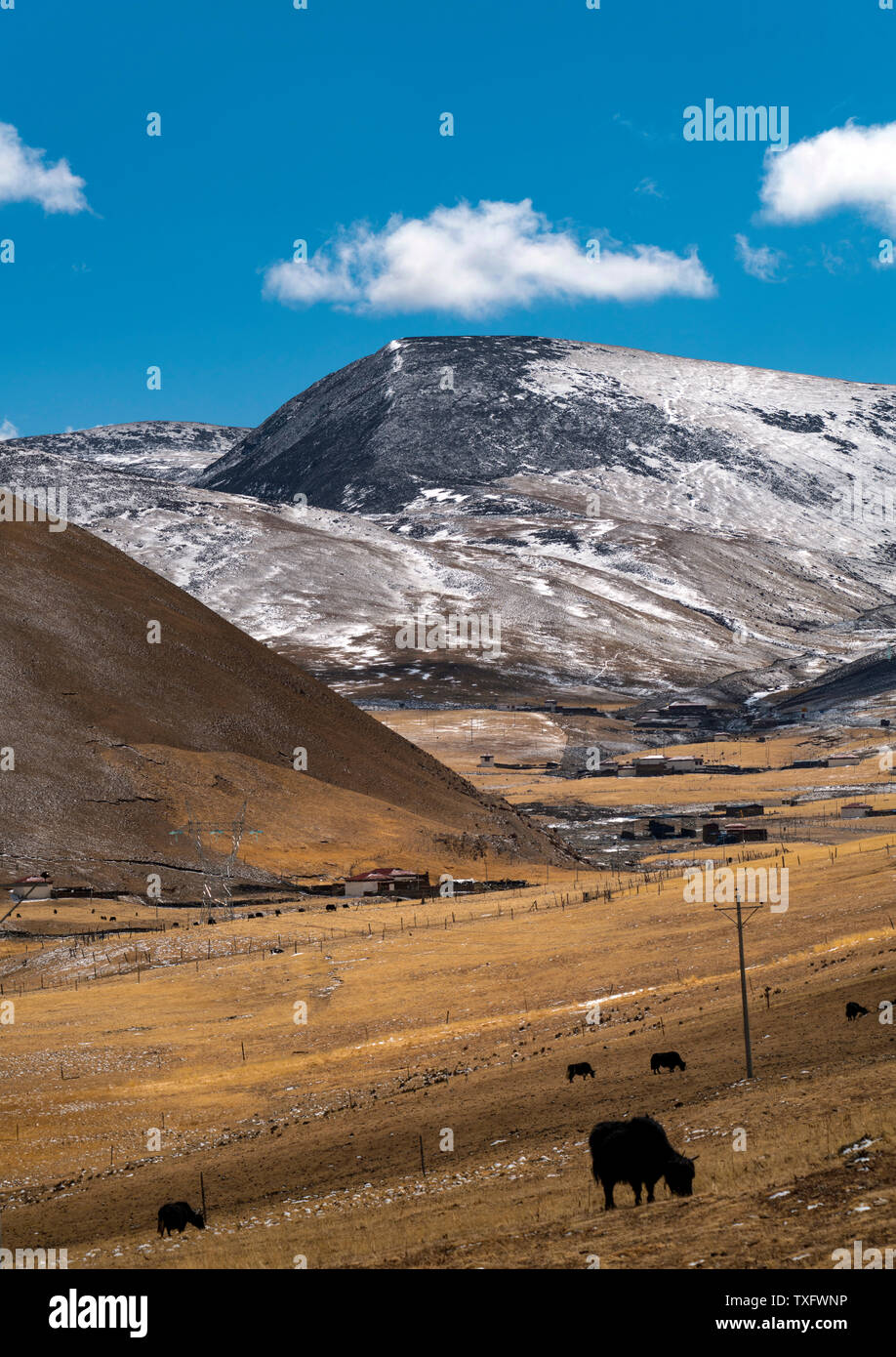 Snow line at the tibetan plateau hi-res stock photography and images ...