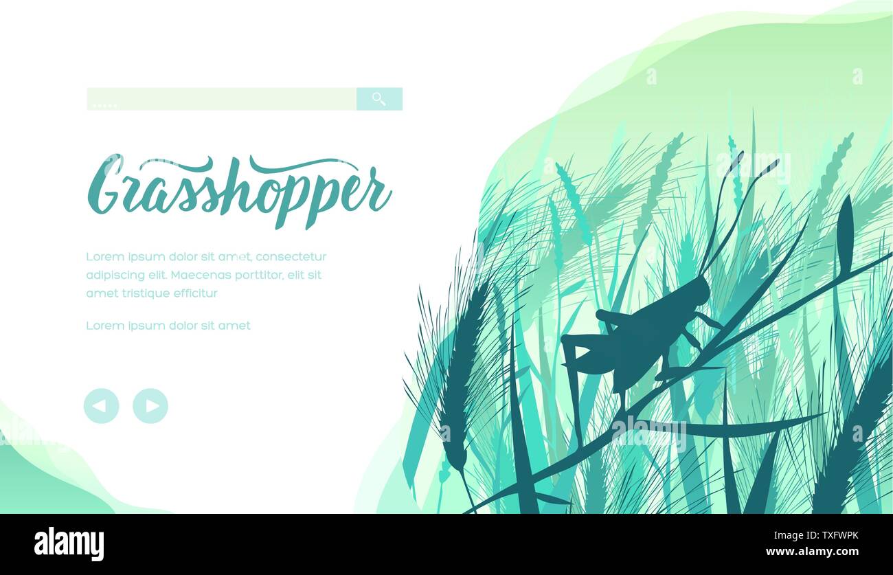 Grasshopper vector landing page template. Entomology exhibition web ...