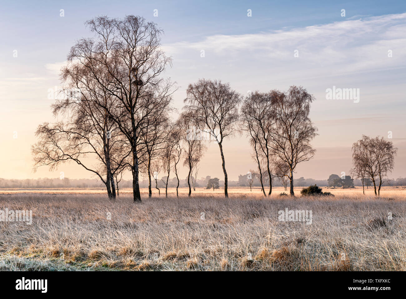 Strensall york yorkshire hi-res stock photography and images - Alamy
