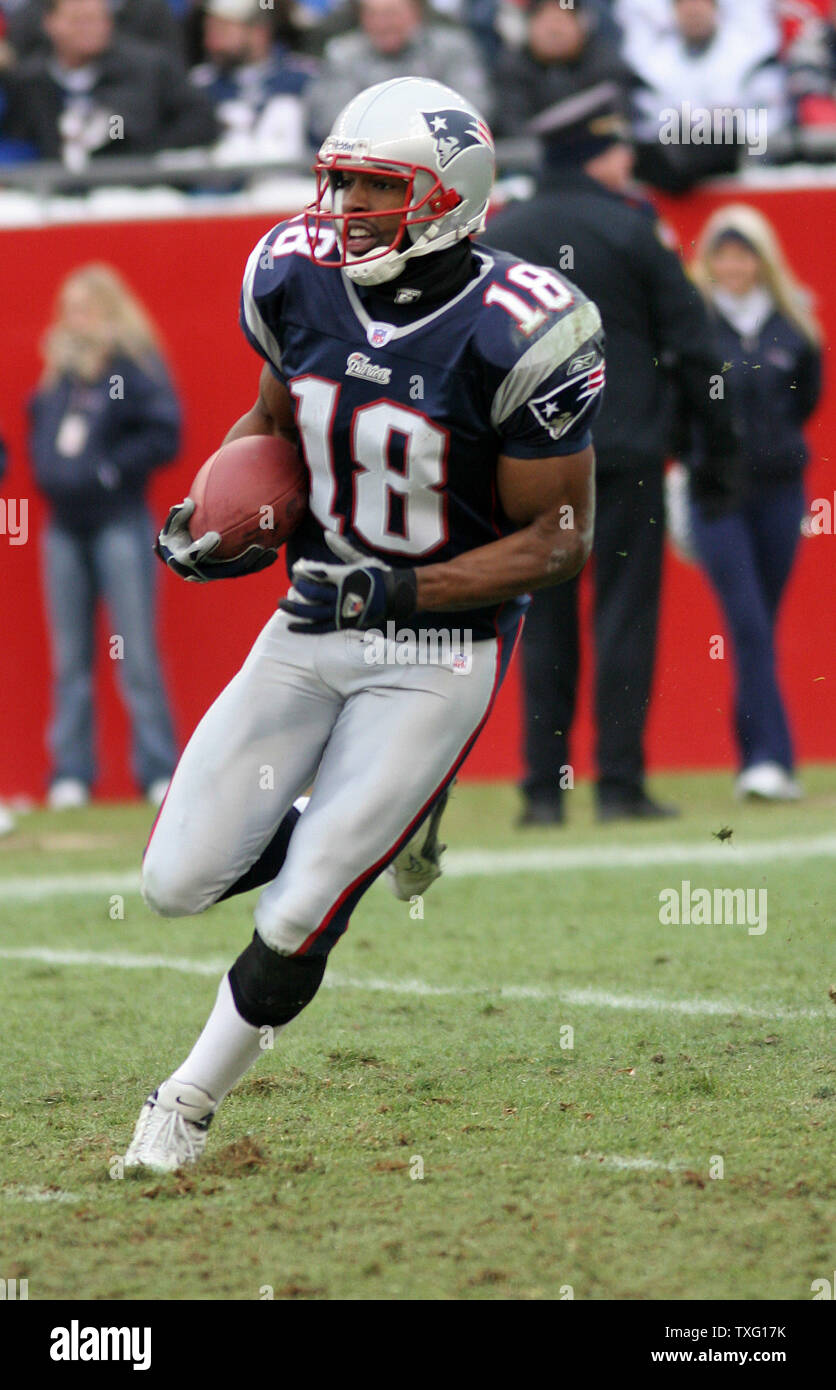 New England Patriots wide receiver Andre Davis returns a punt against ...