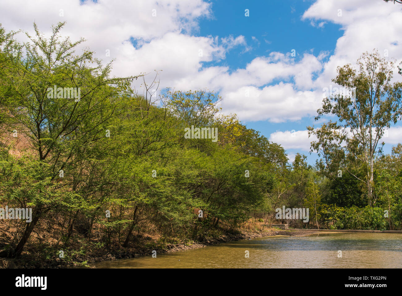 Casela Nature Park Stock Photo - Alamy