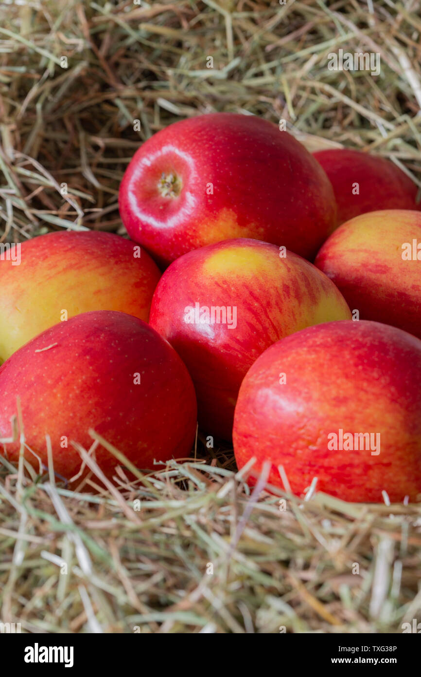 Jazz apple hi-res stock photography and images - Alamy