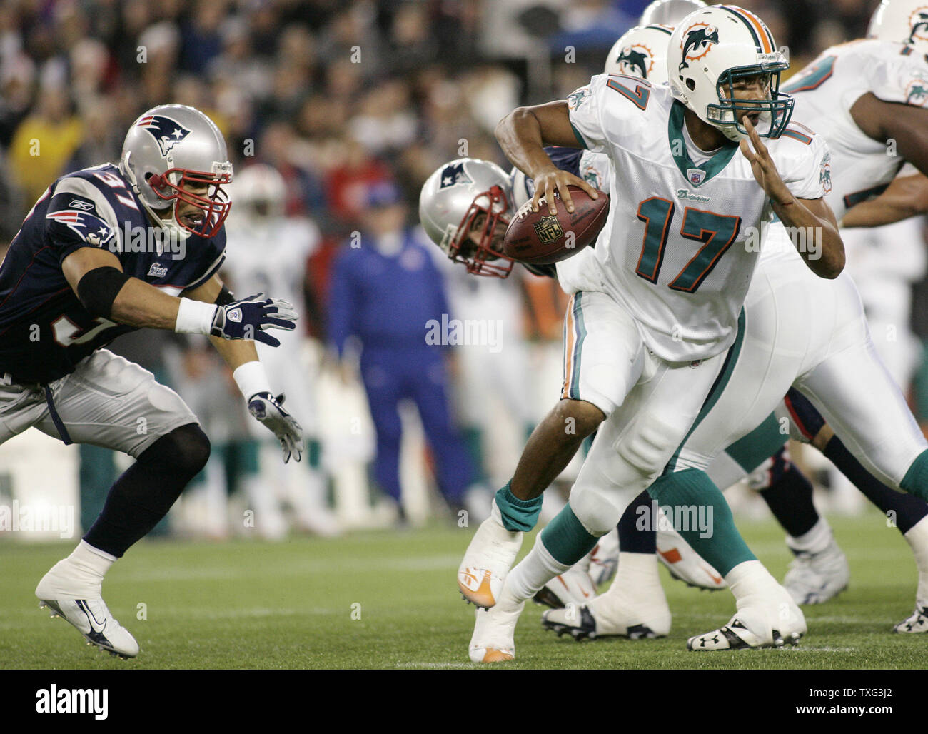 Miami dolphins quarterback cleo lemon hi-res stock photography and ...