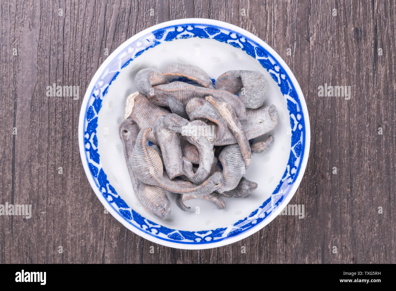 Dry leech hi-res stock photography and images - Alamy