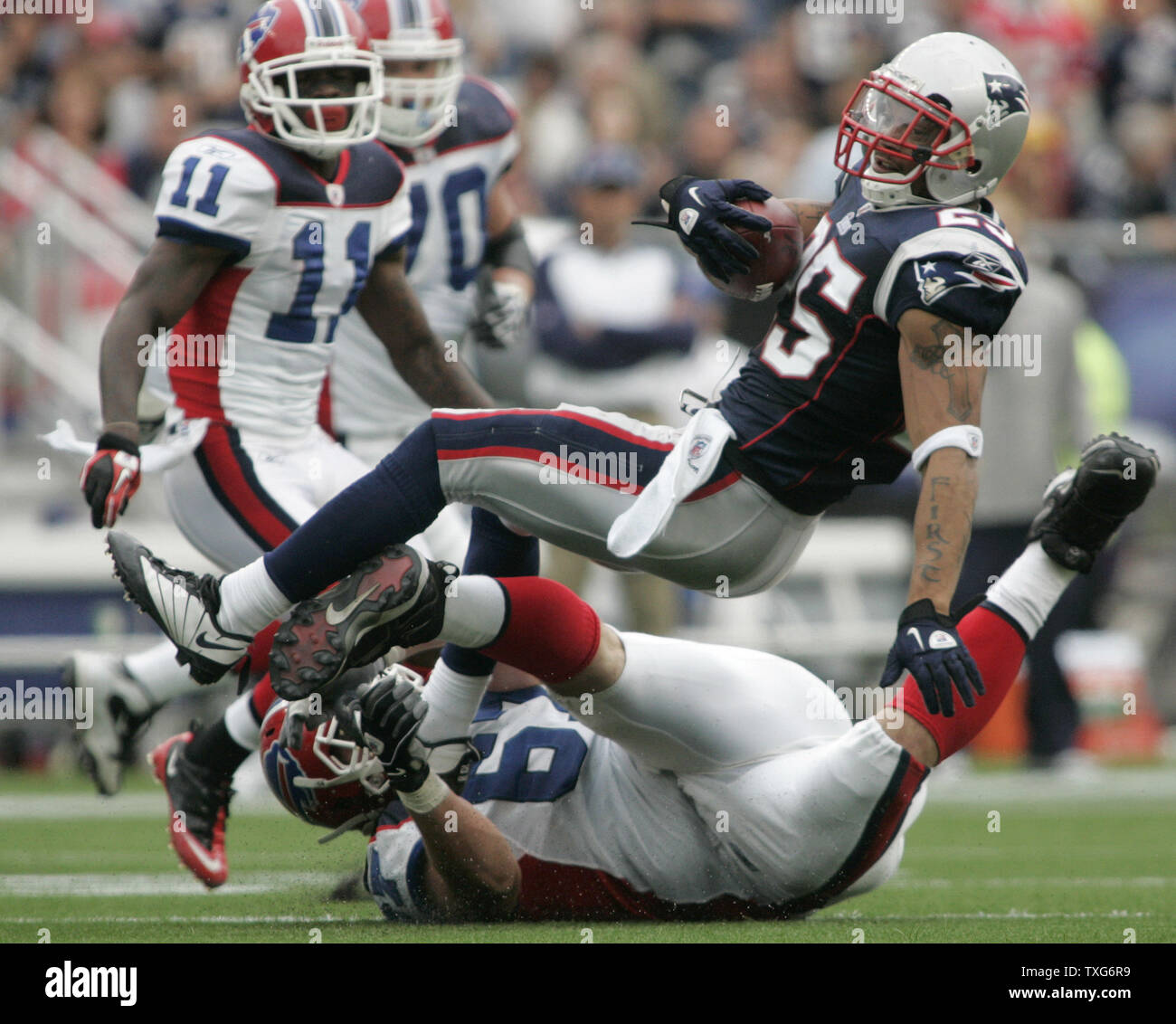 Andy levitre hi-res stock photography and images - Alamy