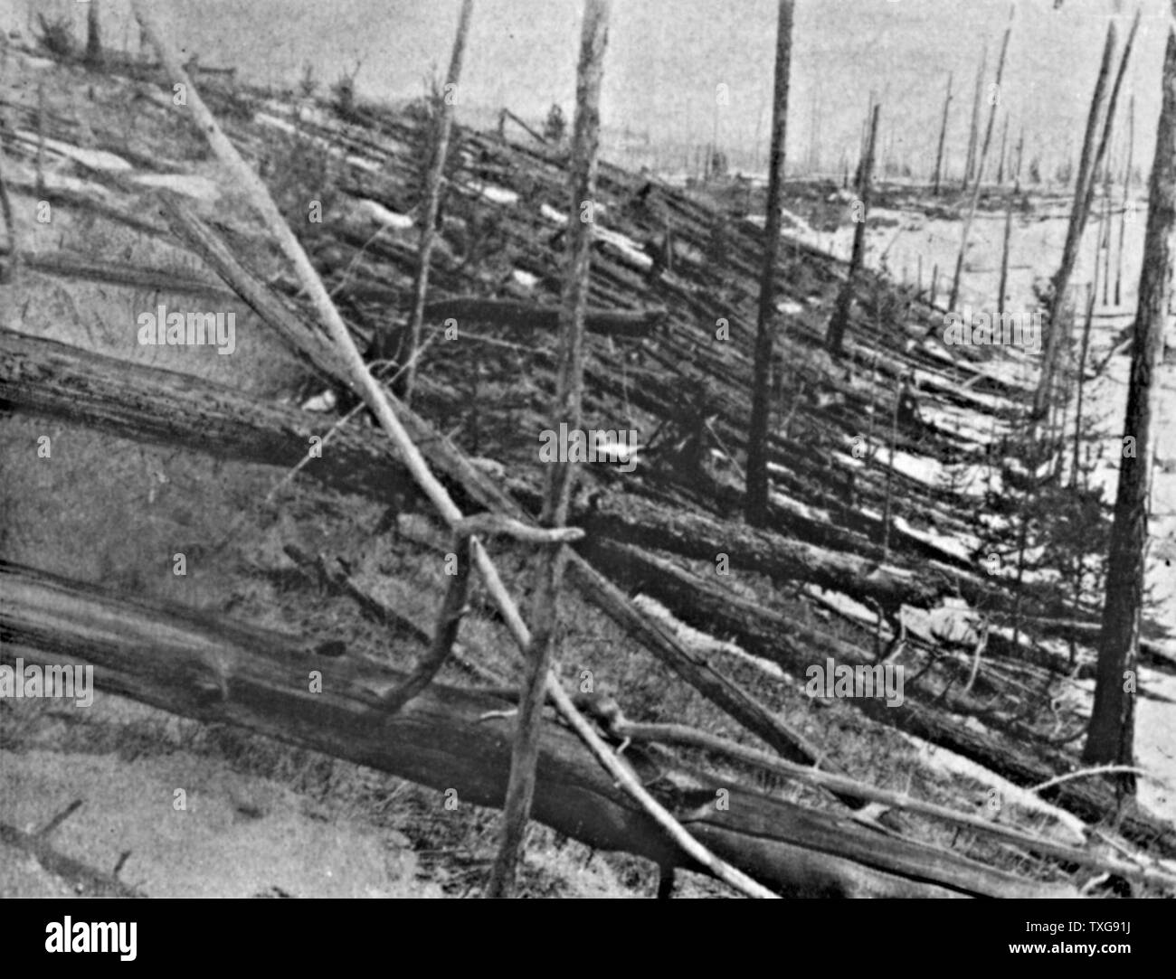 The Tunguska Event, or Tunguska Explosion, 30 June 1908, near the ...