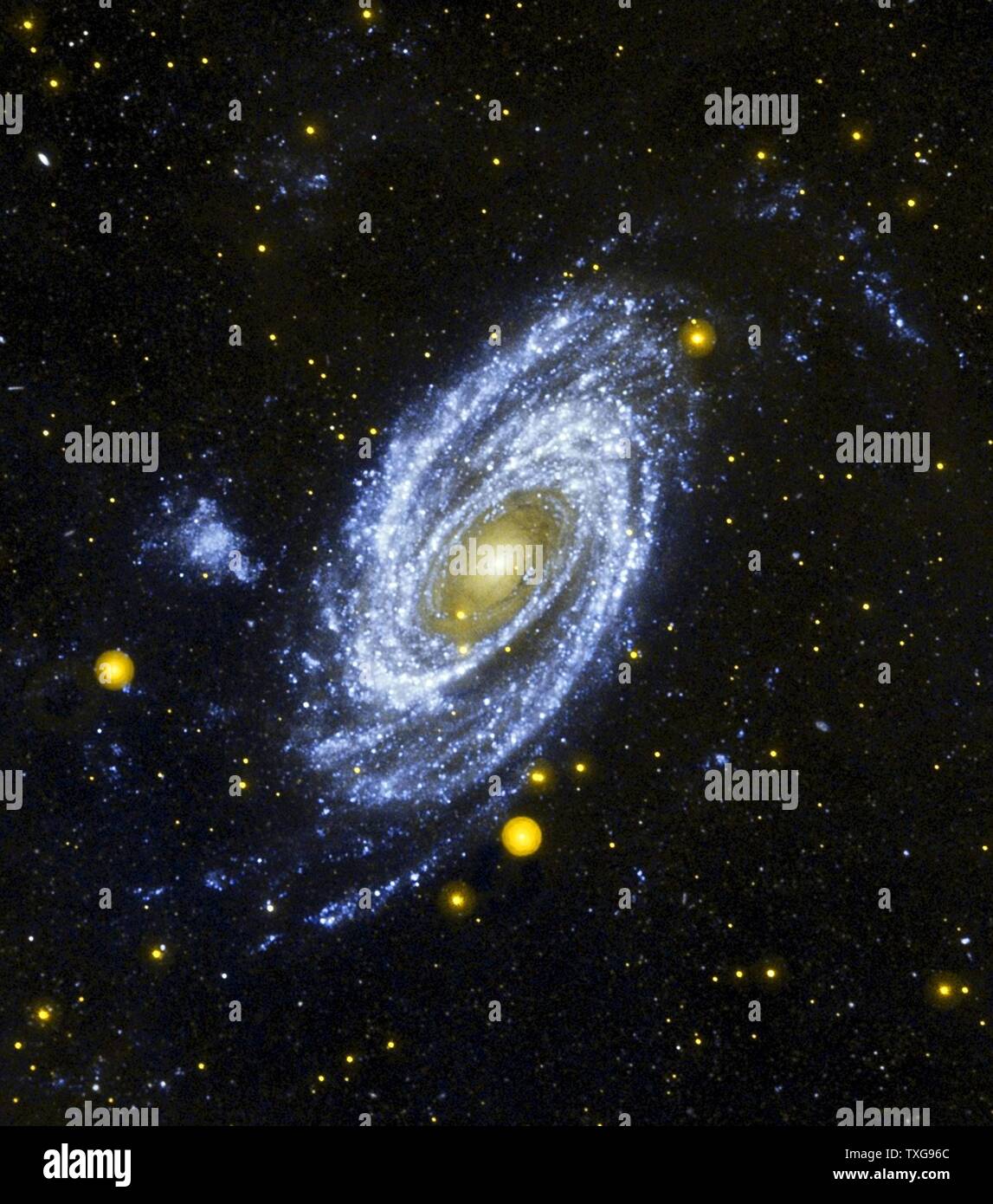 Spiral Galaxy M81 viewed from the Hubble Space Telescope Credit NASA Stock Photo - Alamy