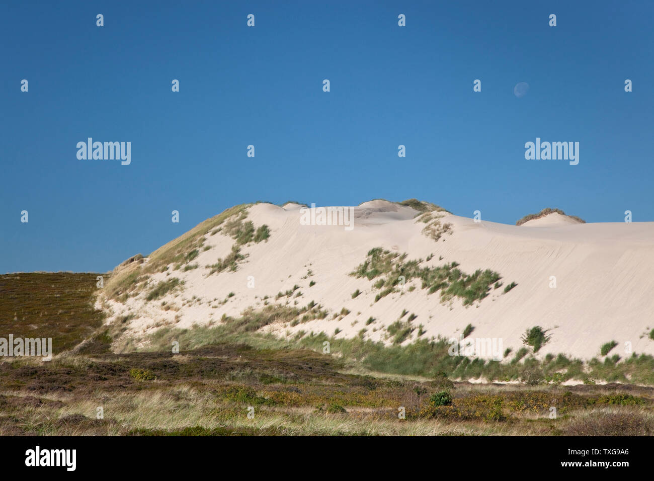 geography / travel, Germany, Schleswig-Holstein, shifting sand dune in ...