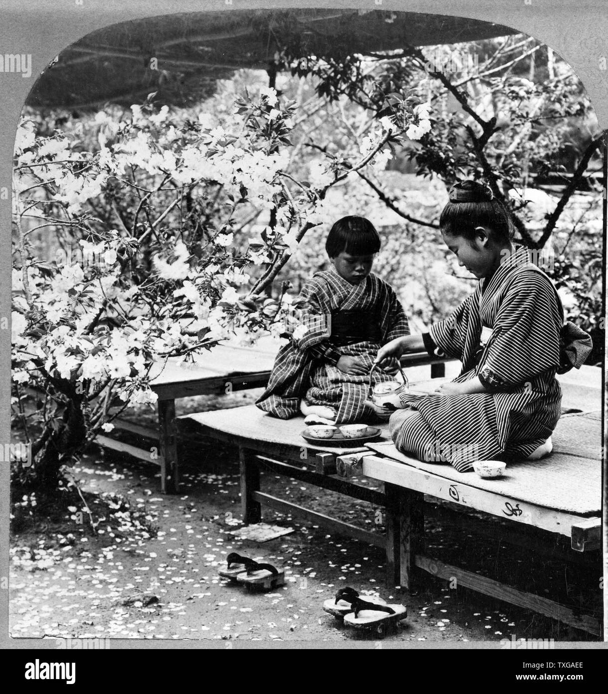 Japanese black tea in Black and White Stock Photos & Images - Alamy