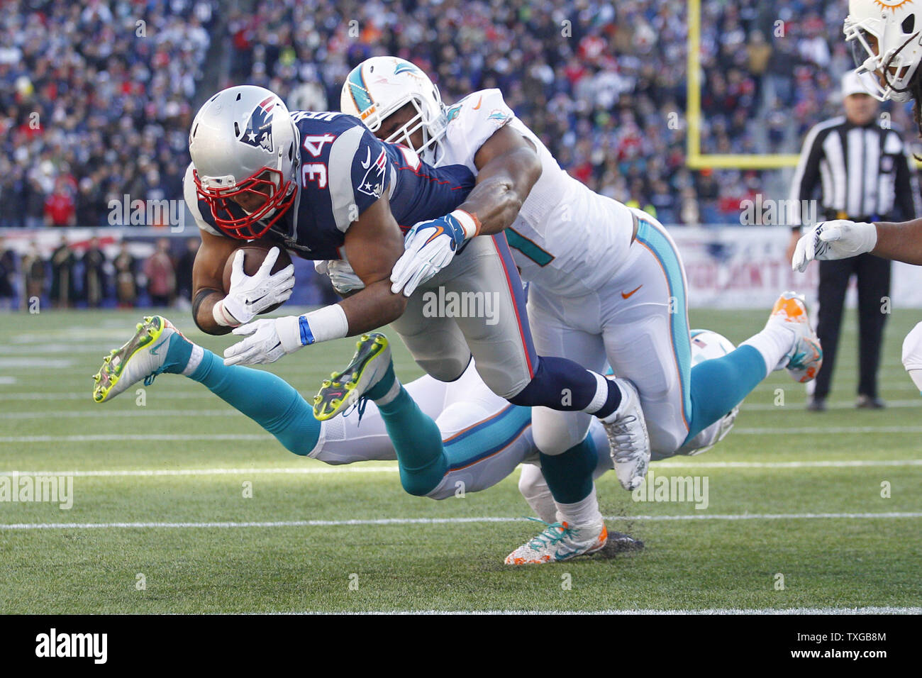 Kevin sheppard hi-res stock photography and images - Alamy