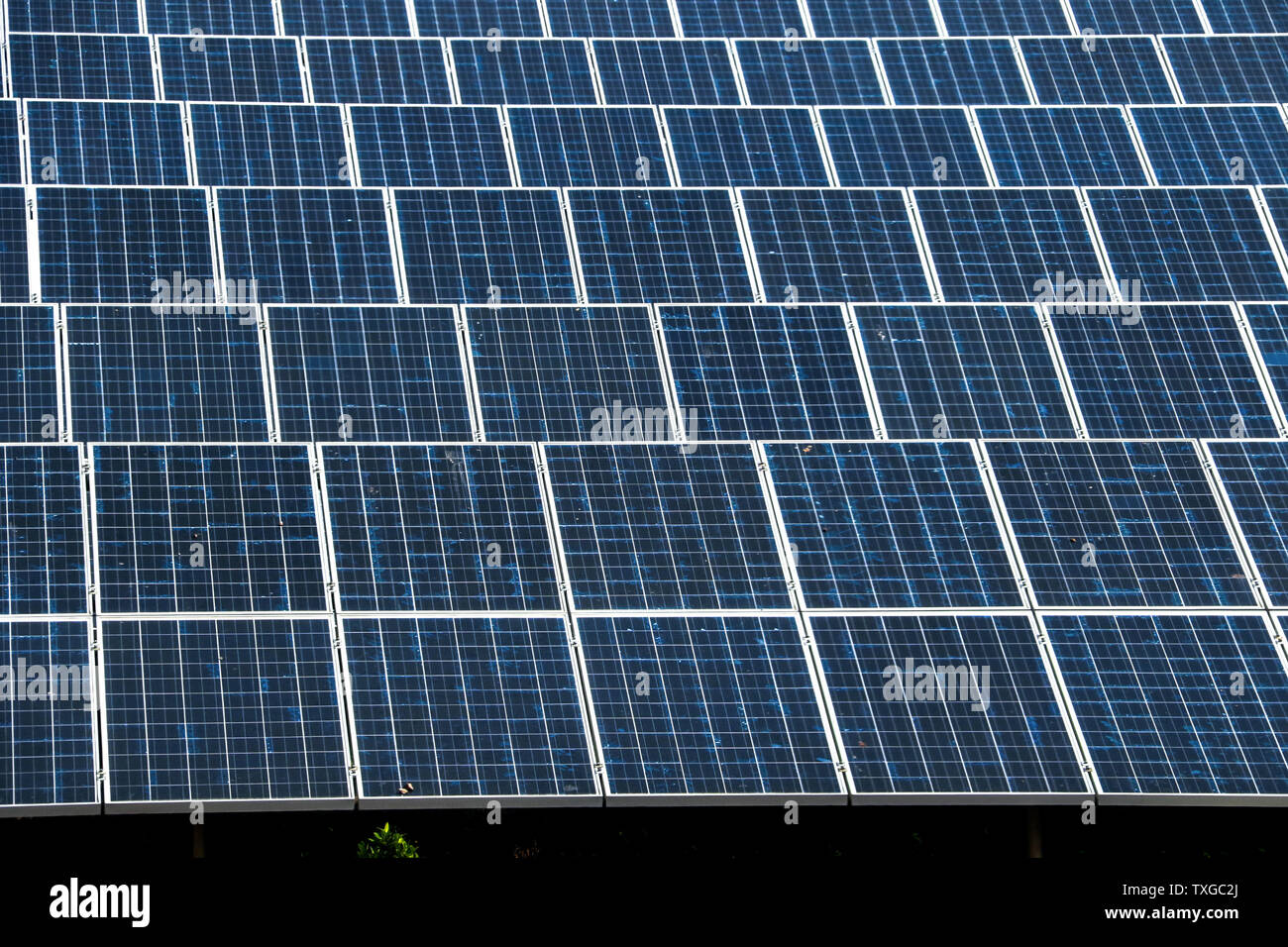 Eco power, Photovoltaic, Alternative electricity source, Solar panel ...