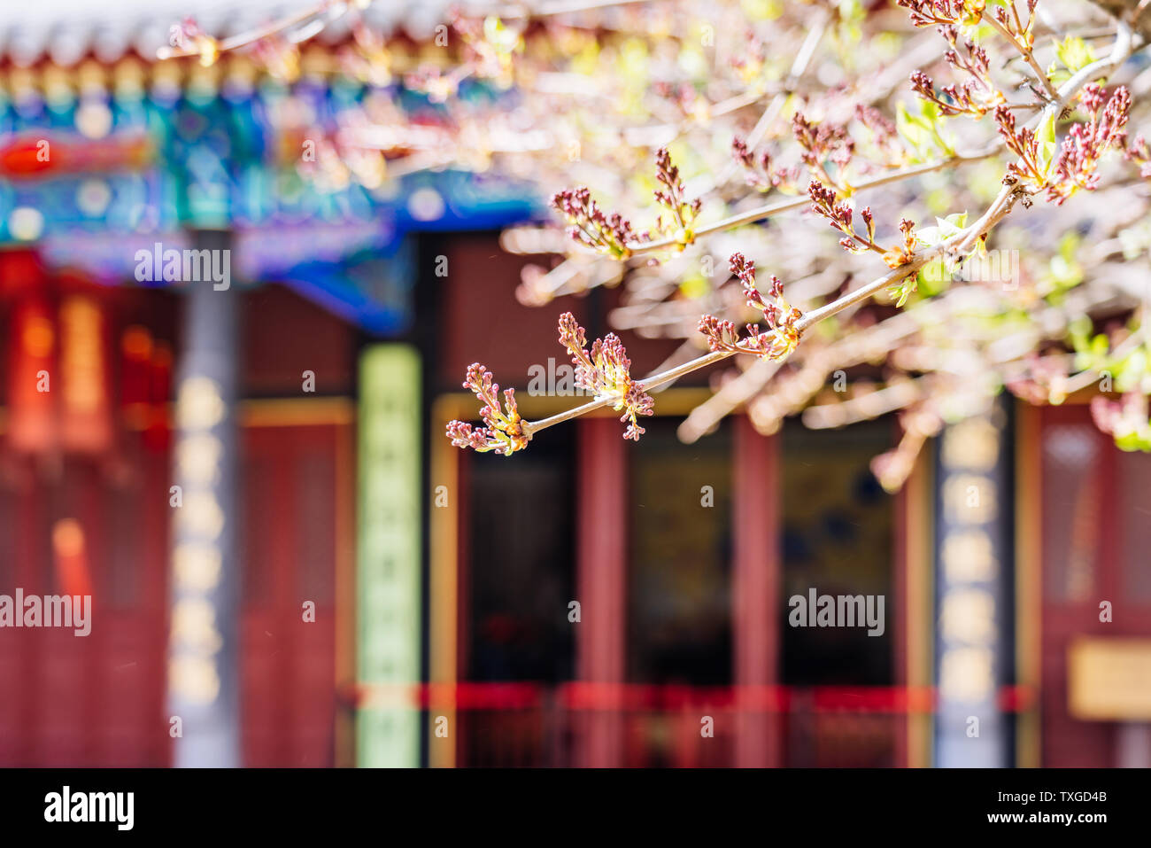 Yamen china hi-res stock photography and images - Alamy