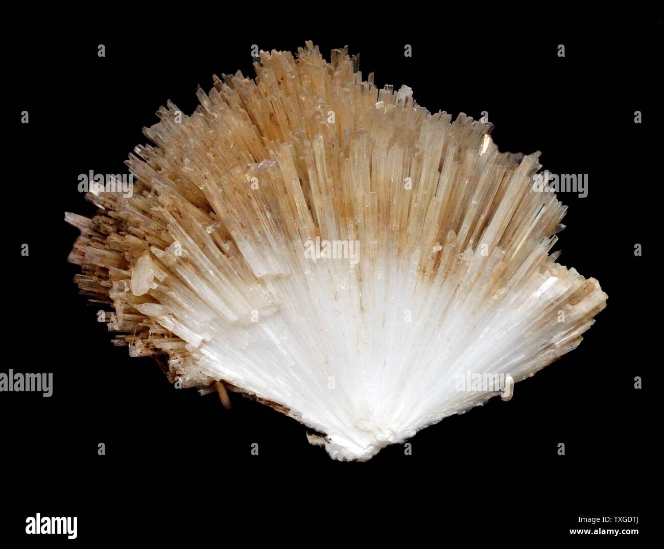 Hydrated calcium silicate hi-res stock photography and images - Alamy