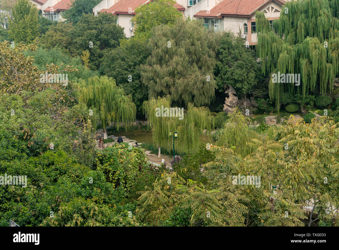 Black Tiger Spring Moat Park, Jinan, Shandong Province Stock Photo - Alamy