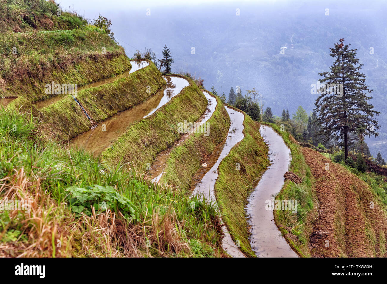 Landscape tourism no one has beautiful scenic valleys outdoor trees hi ...