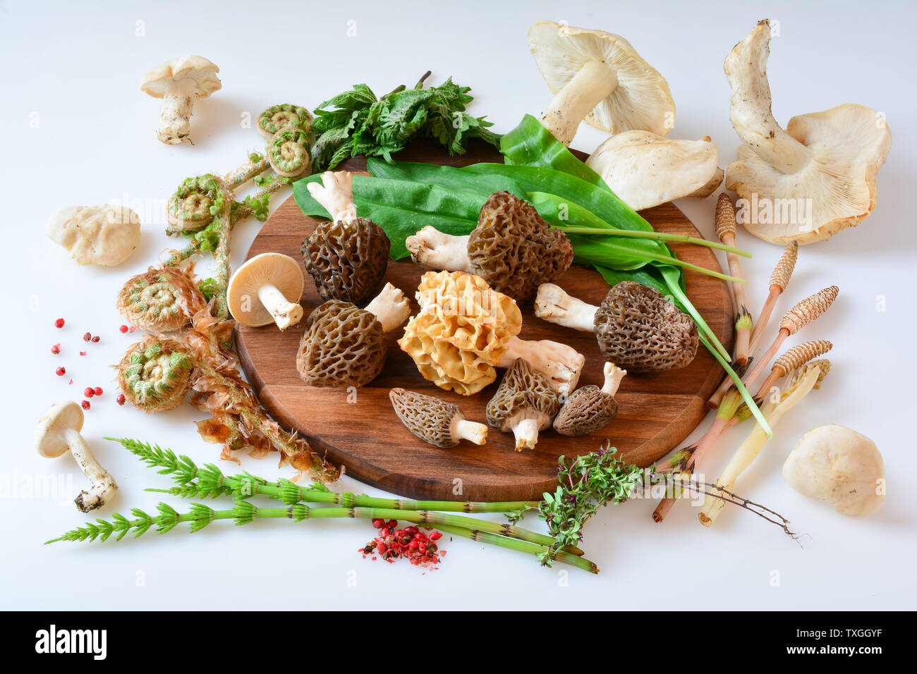 Wild food on chopping board over white, Morels, St.George's mushrooms ...