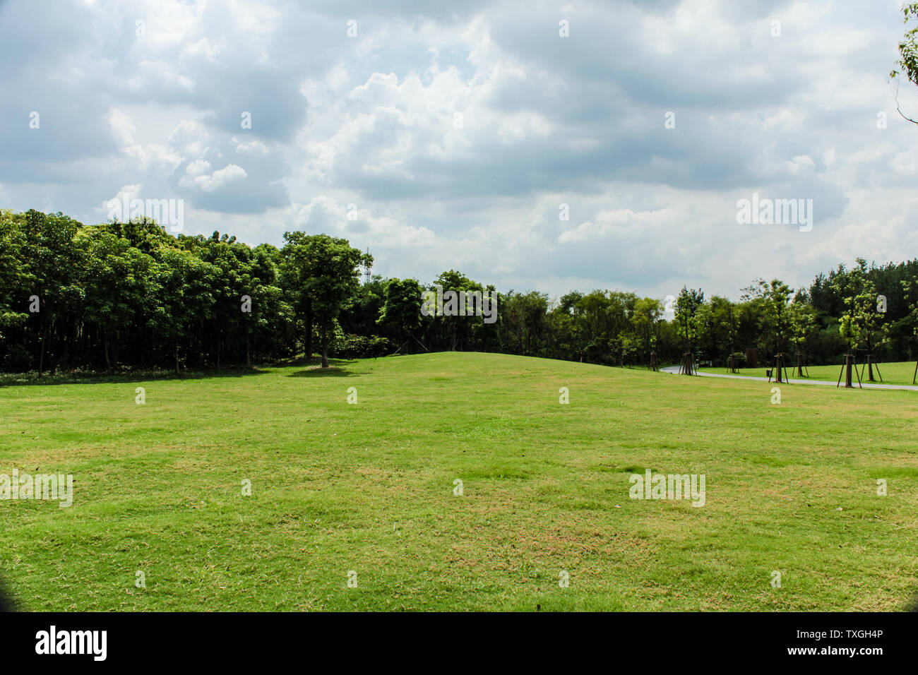 Scenery of Gucun Park in Shanghai Stock Photo - Alamy