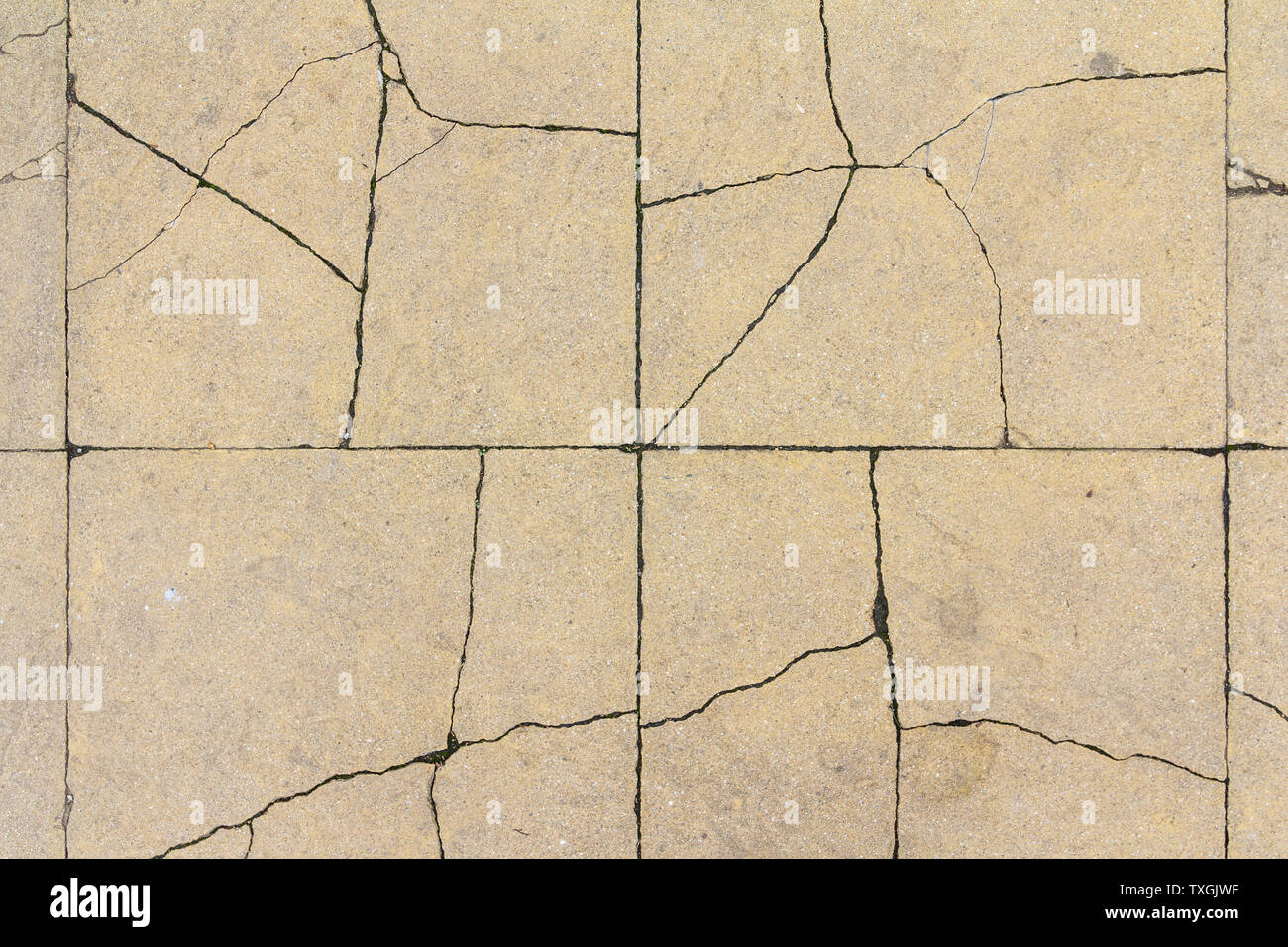 Seamless Cracked Sidewalk Texture