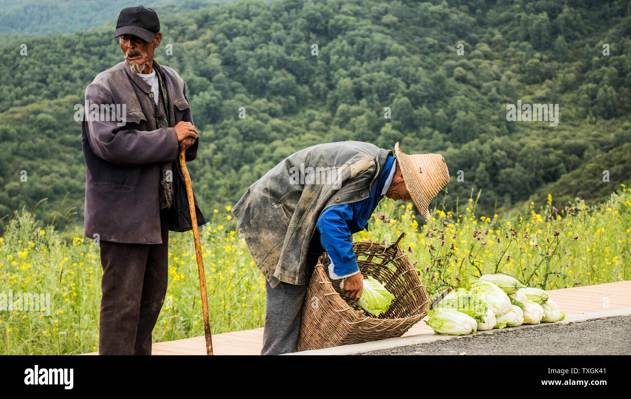 The old man who sells vegetables Stock Photo - Alamy