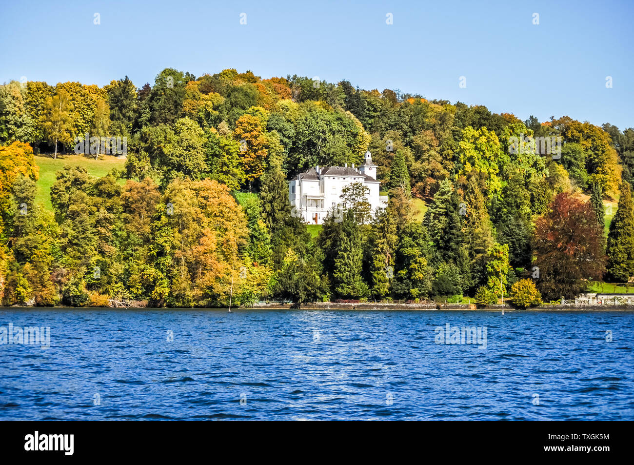 Scenery of Lake Rusen, Switzerland Stock Photo - Alamy