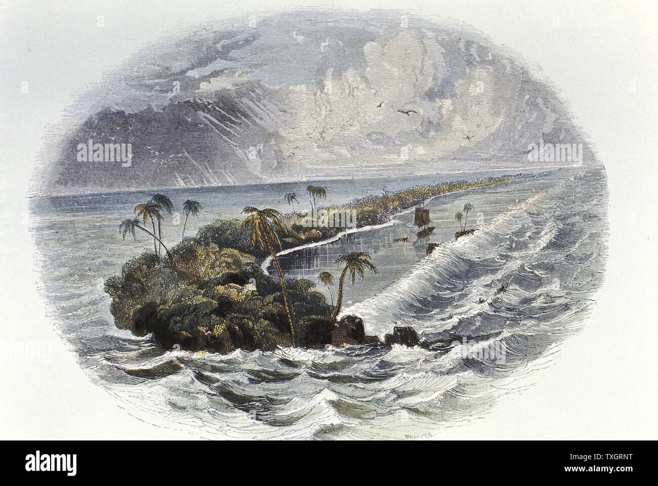 Coral Reef: Time taken for building of coral reefs and islands was a ...