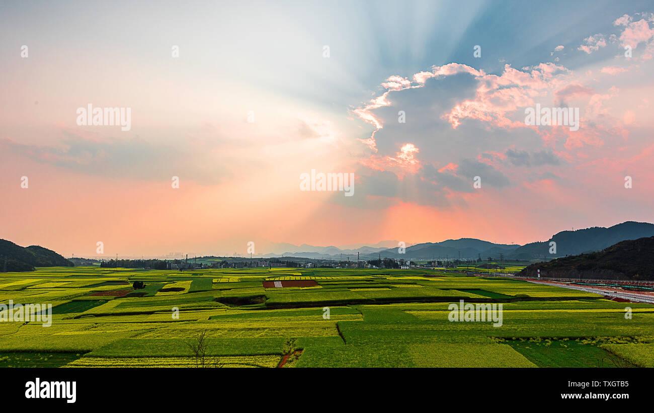 Golden Chicken Peak High Resolution Stock Photography and Images - Alamy