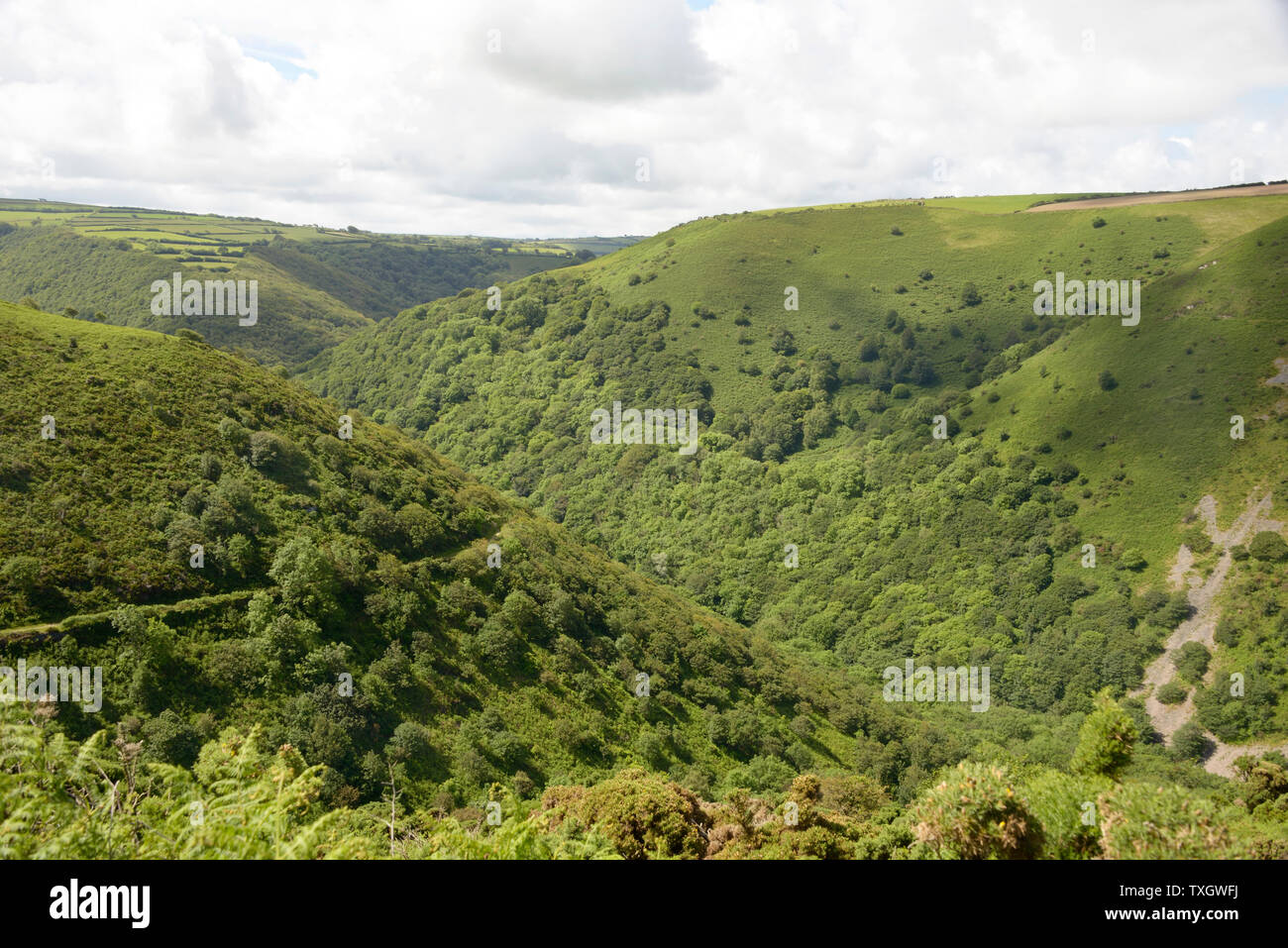 Looking back up Heddon Valley, from elevated view point Stock Photo - Alamy