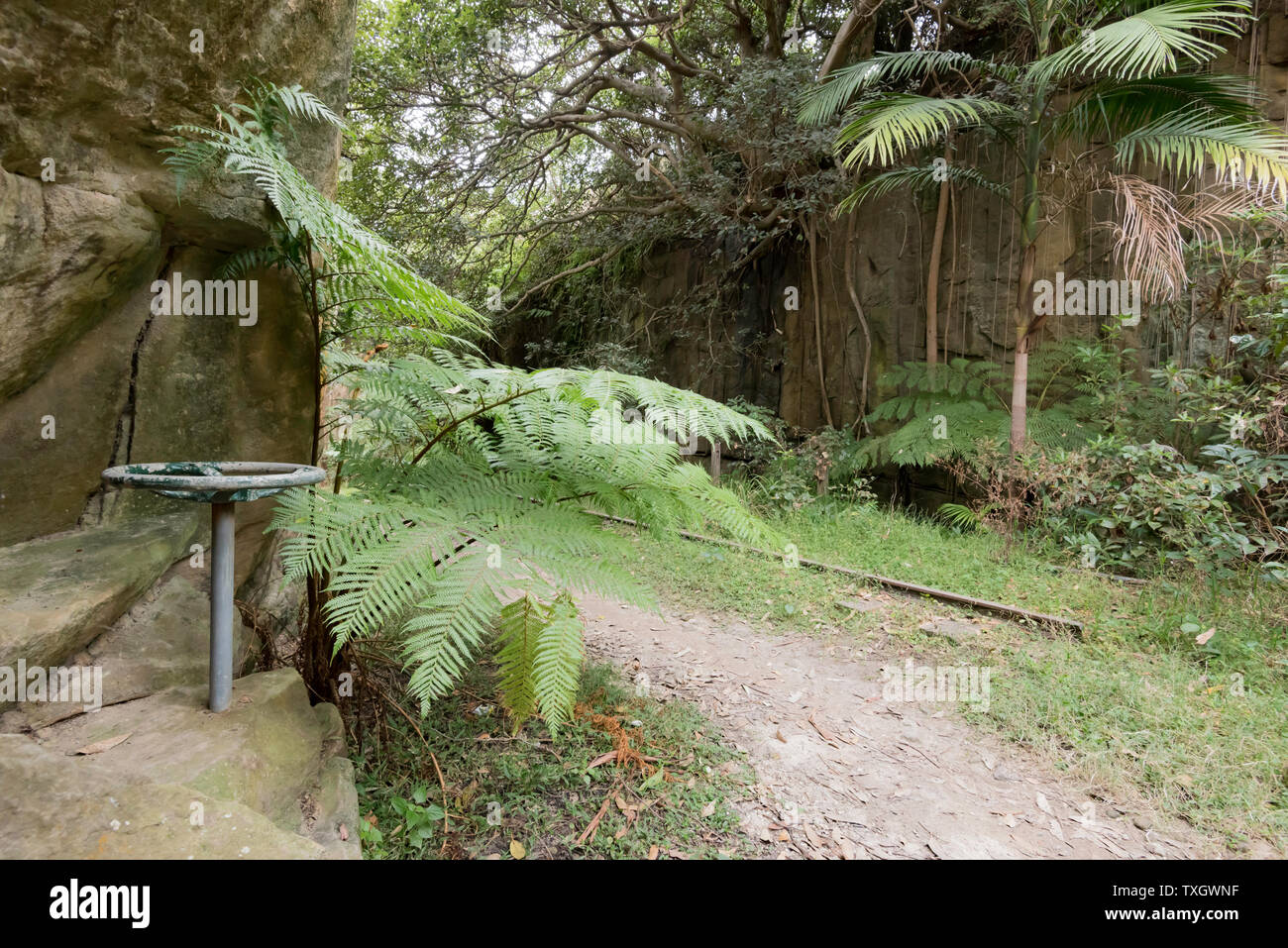 In Lawrey Plunkett Reserve, Mosman remnant parts of the old cutting and ...