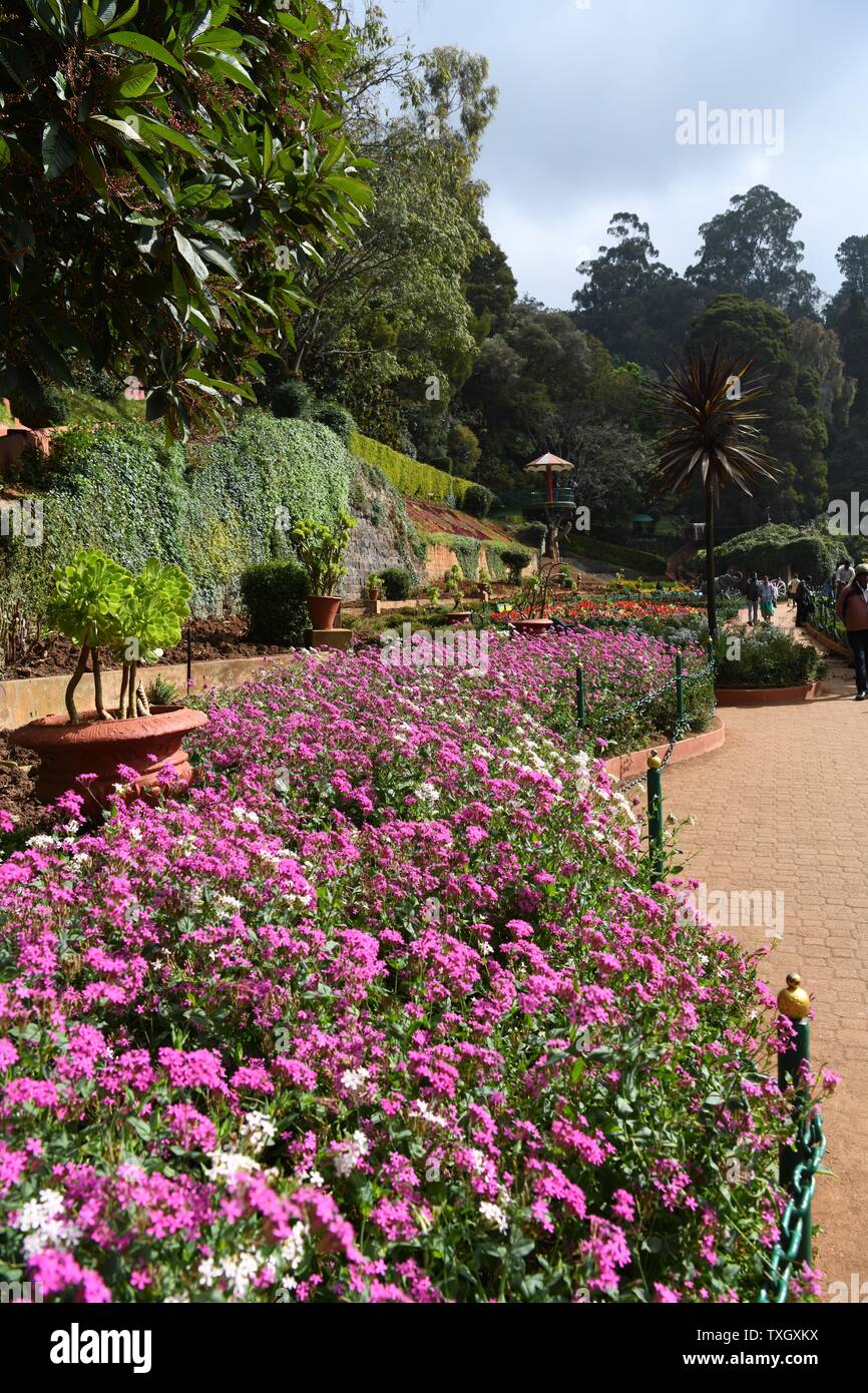 Italian Garden at the Government Botanical Gardens, Ooty ...