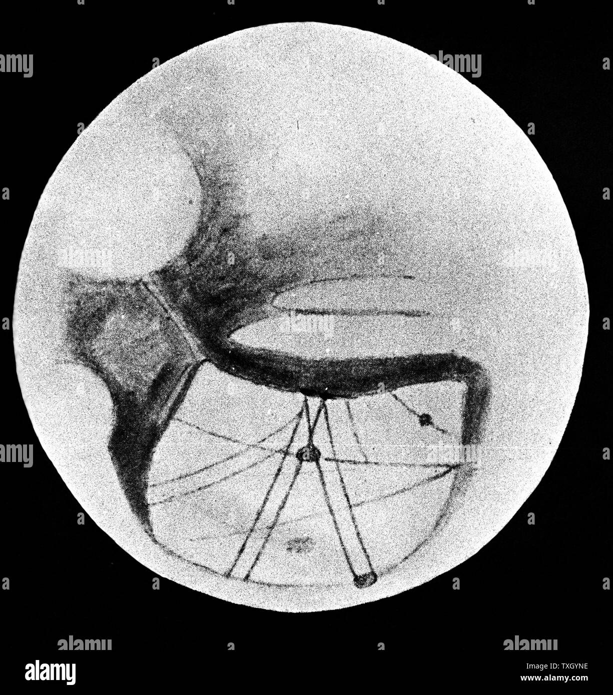 Percival Lowell Mars