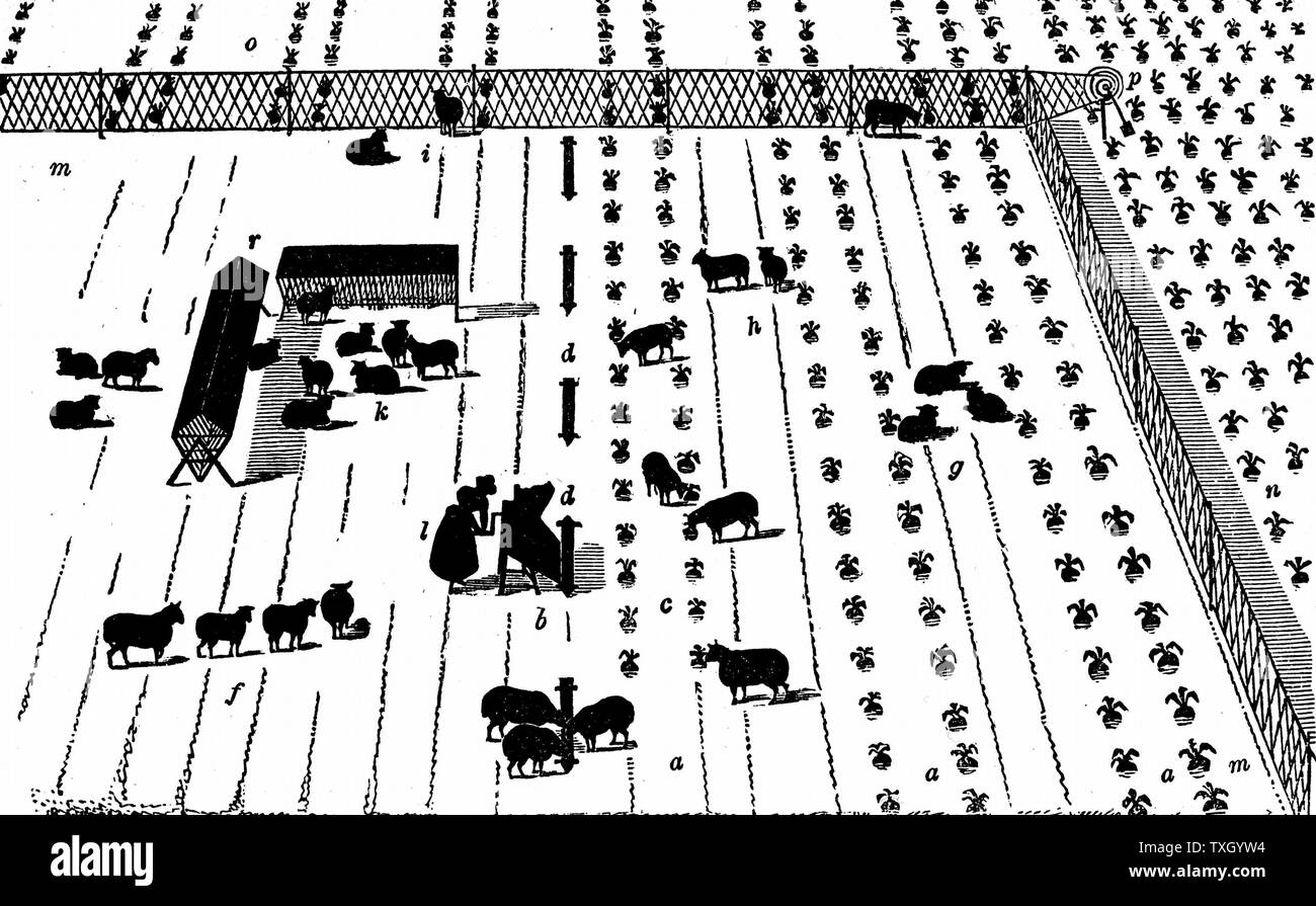 Norfolk 4 course system hi-res stock photography and images - Alamy