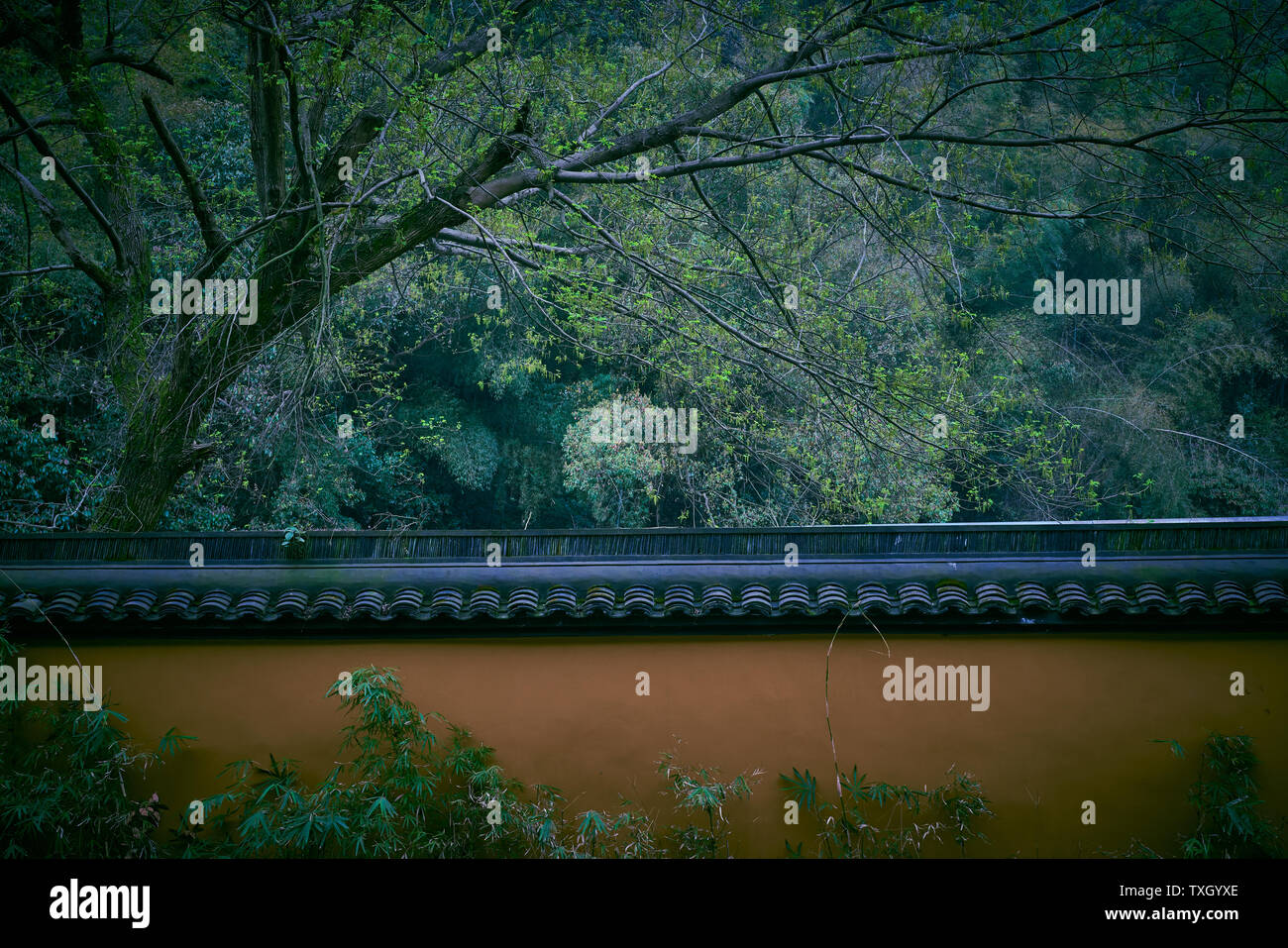 Tianzhu mountains hi-res stock photography and images - Alamy