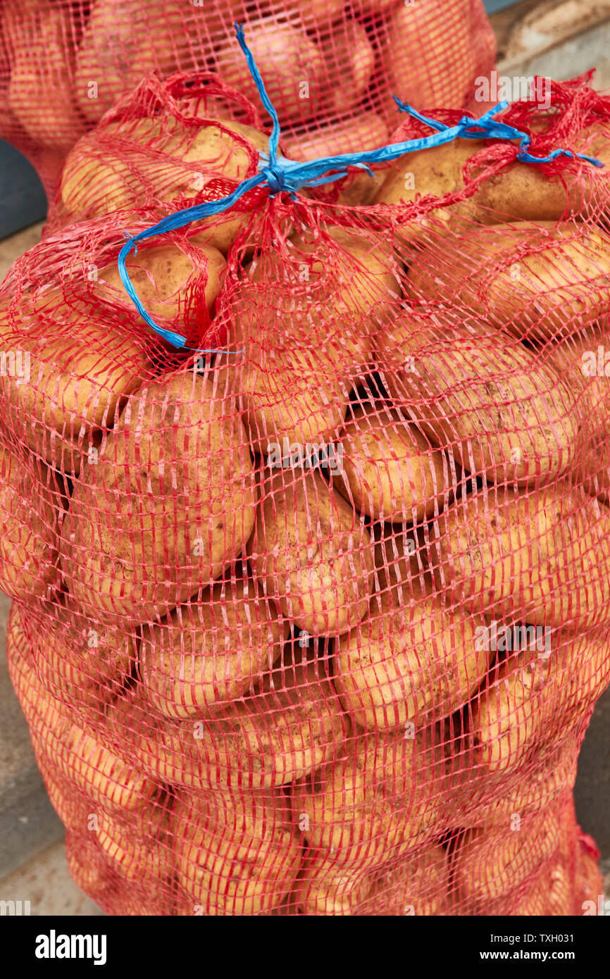 My favourite dresses from The Royal Masquerade. PB snapped with this ...