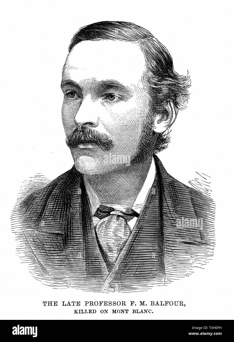 Morphology hi-res stock photography and images - Alamy