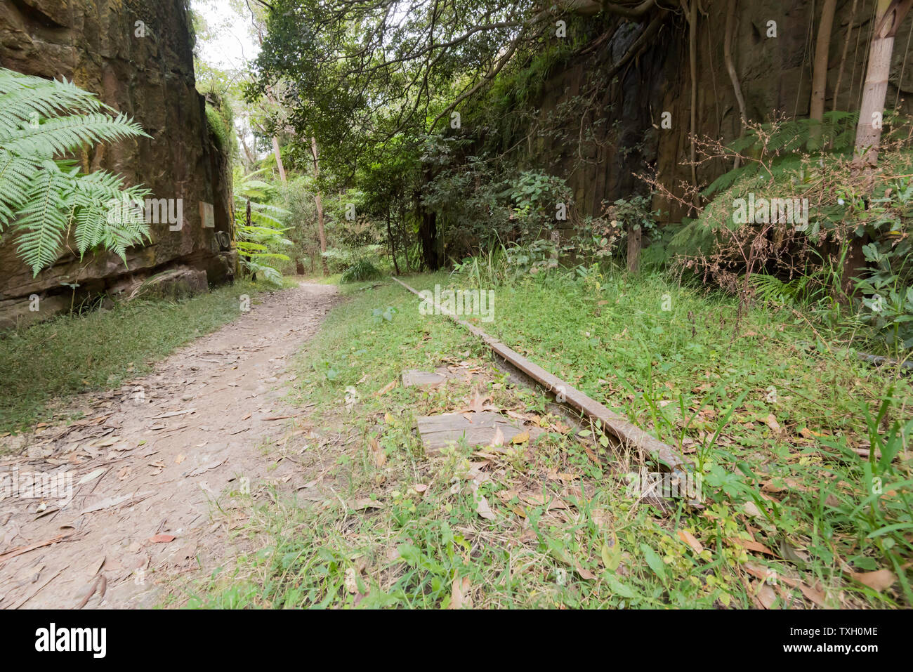 In Lawrey Plunkett Reserve, Mosman remnant parts of the old cutting and ...