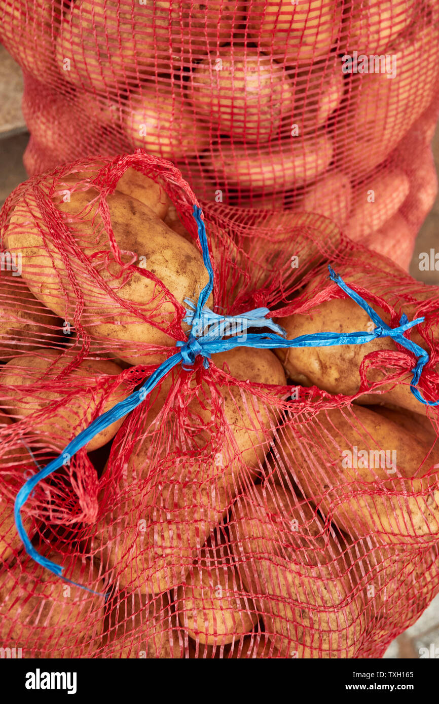 Red potatoes in net bag with blue string, Machico, Madeira, Portugal ...