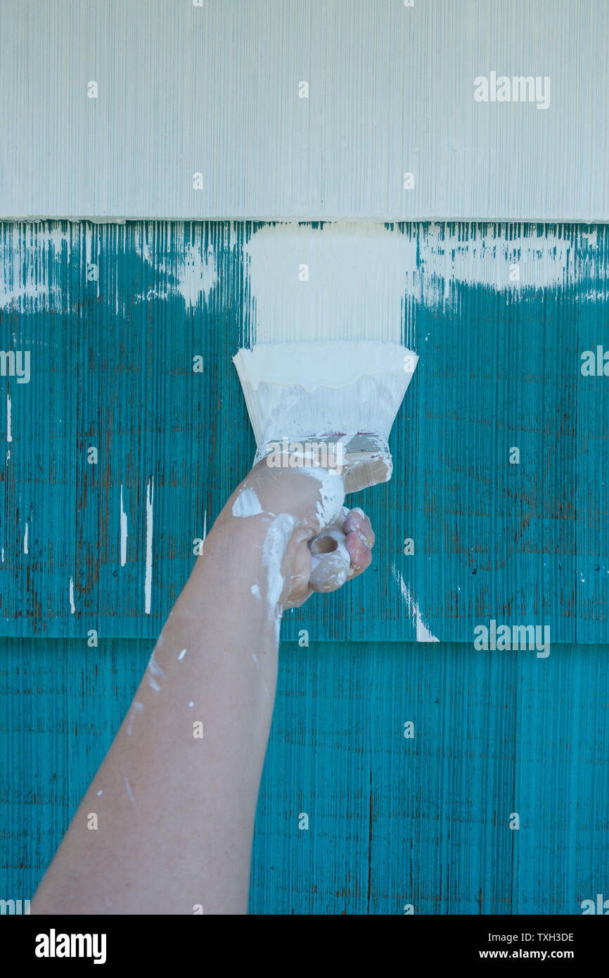 Paint the house Stock Photo - Alamy