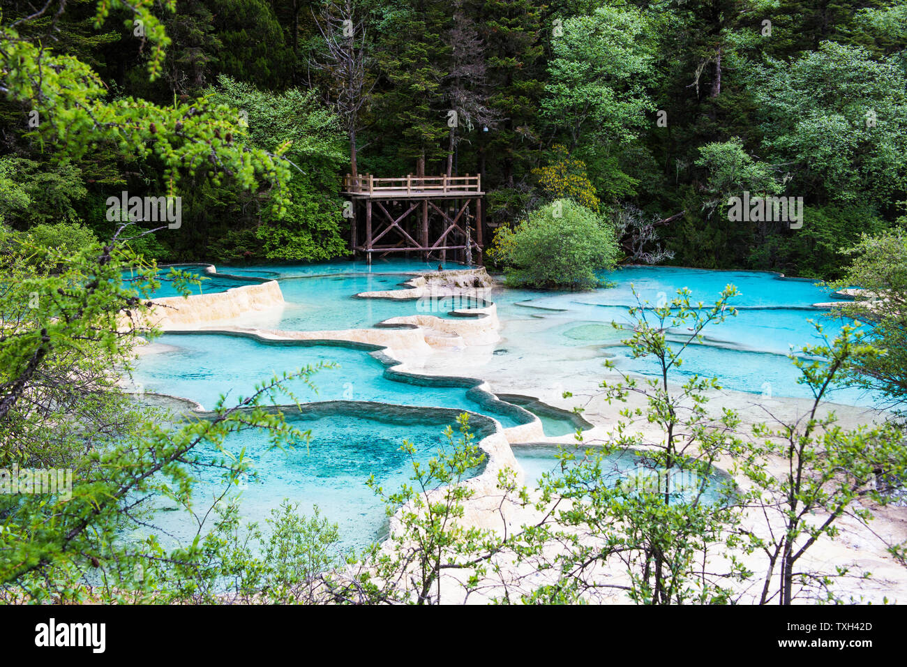 Eden choi hi-res stock photography and images - Alamy